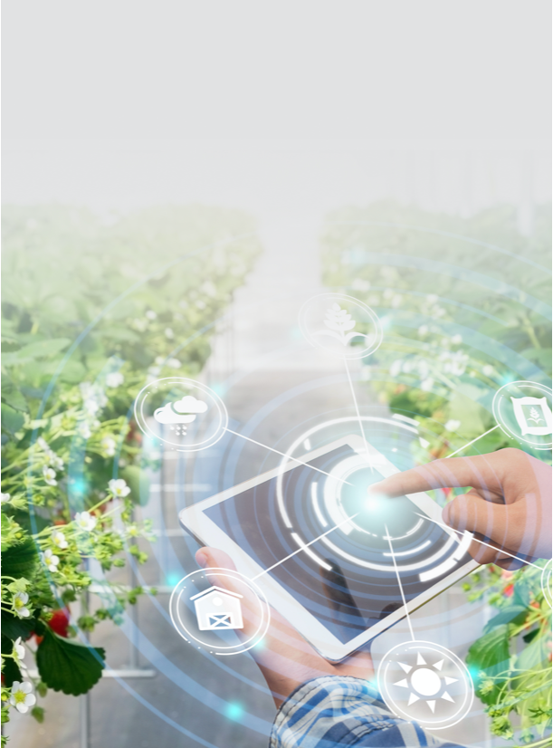 DiFluid - Official Website